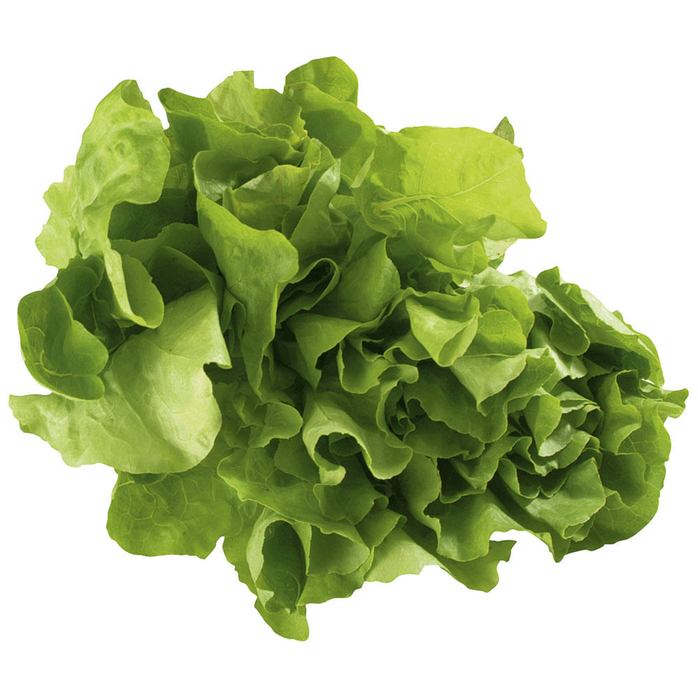 Alface Lisa - Sam's Club