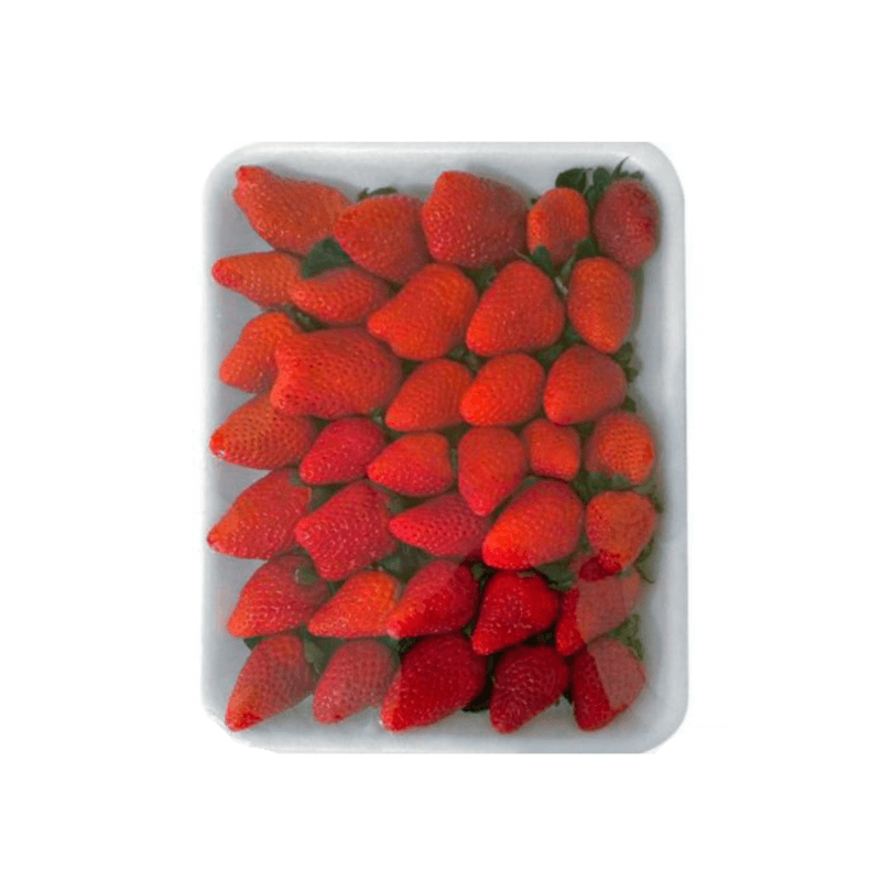 Morango Fresco Bandeja 500g - Sam's Club
